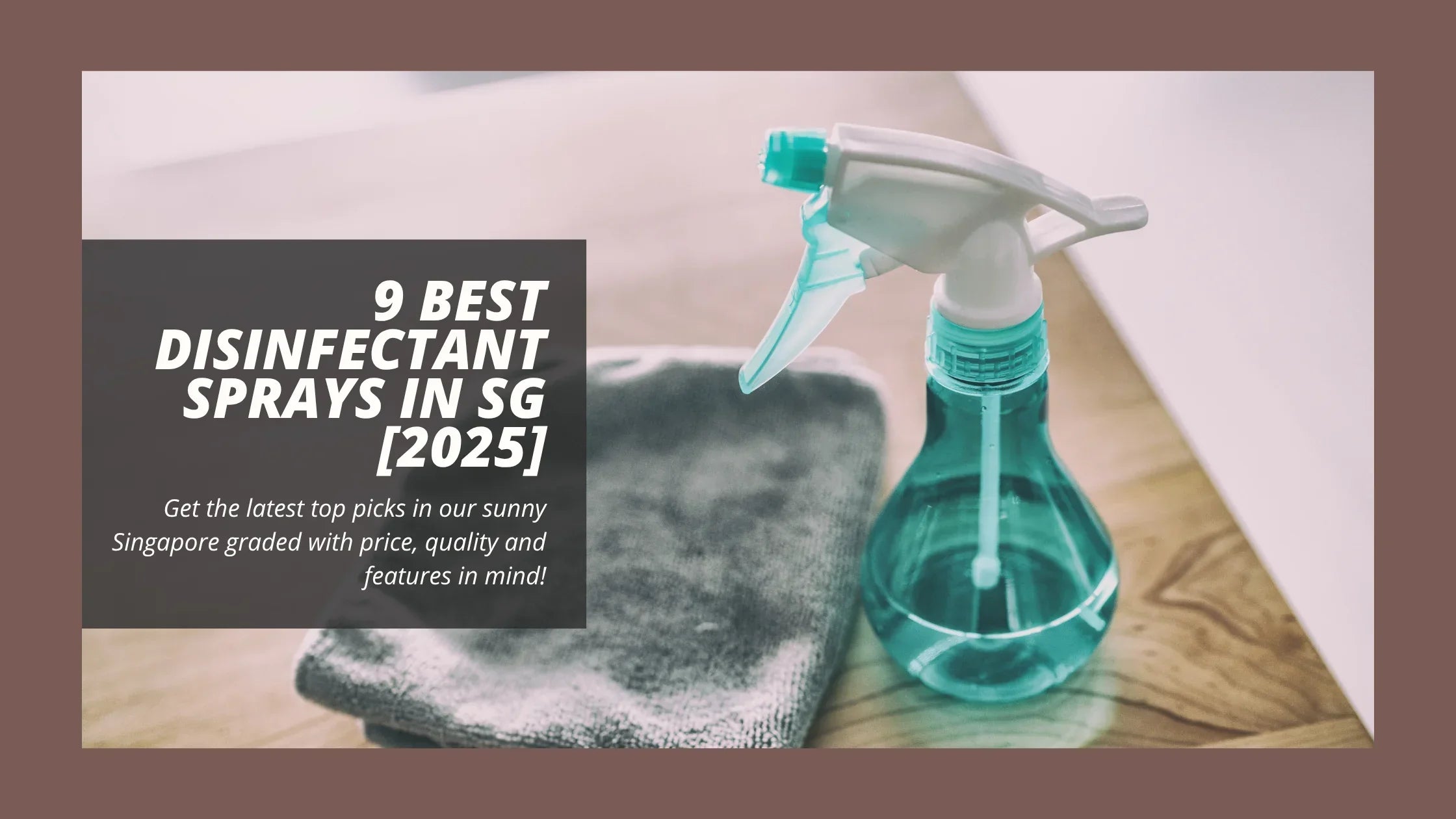 9 Best Disinfectant Sprays in Singapore [2025] – Modern Home Singapore