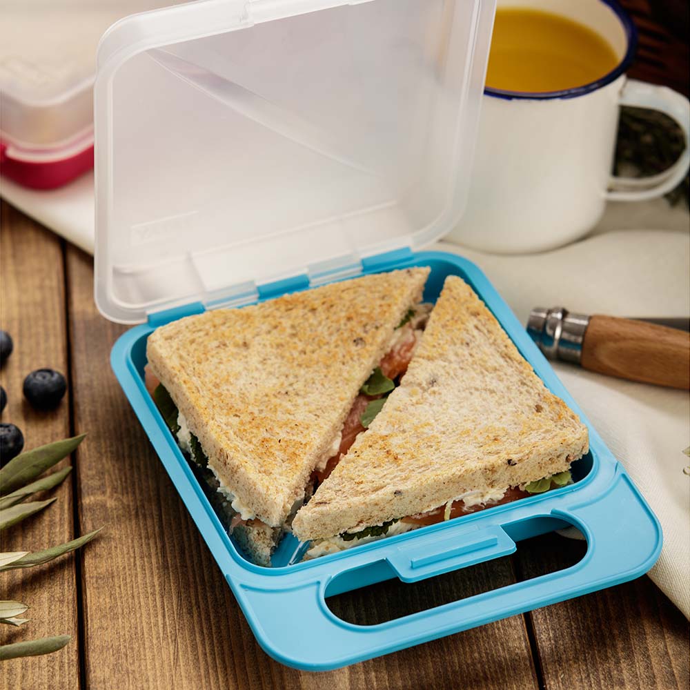 Tatay LUNCH BOX PINK T1671.02 | Modern Home SG – ModernHome SG